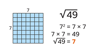 Roots - BBC Bitesize