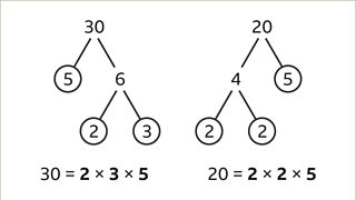 What is a common factor in maths? - BBC Bitesize
