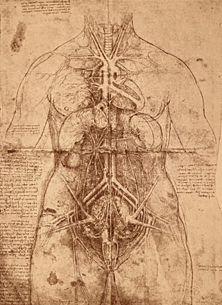 The Renaissance: the rebirth of medicine, 14th to 17th century - BBC ...