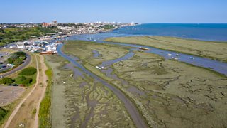 Exploring the UK's wetlands | KS2 Geography | Year 5 and Year 6 - BBC ...