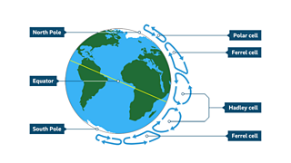 Global biomes guide for KS3 geography students - BBC Bitesize