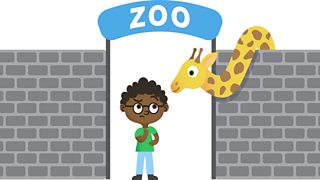 What is an algorithm? - BBC Bitesize