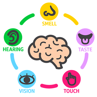 Programming with sensors - BBC Bitesize