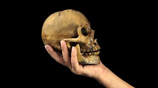 About Shakespeare - KS3 English - BBC Bitesize