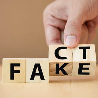 Fact or fake - is information on the web always reliable? - BBC Bitesize
