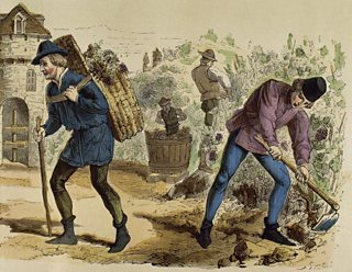 Early pandemics: the plague - BBC Bitesize