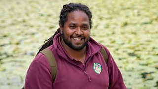 What is an allotment? - EYFS - Reception - BBC Bitesize