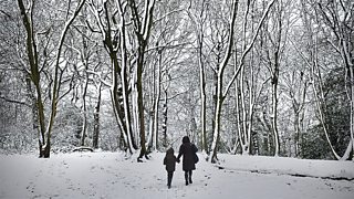 Space - KS3 Physics - BBC Bitesize