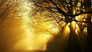 BBC - Pic of the Season - Autumn 2022