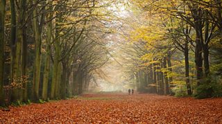 BBC - Pic of the Season - Autumn 2022