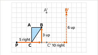 Enlargement - KS3 Maths - BBC Bitesize - BBC Bitesize