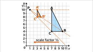 Enlargement - KS3 Maths - BBC Bitesize - BBC Bitesize