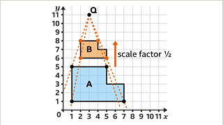 Enlargement - KS3 Maths - BBC Bitesize - BBC Bitesize