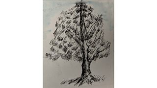 Mark making techniques - Drawing techniques - AQA - GCSE Art and Design ...