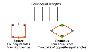 Properties of quadrilaterals - KS3 Maths - BBC Bitesize