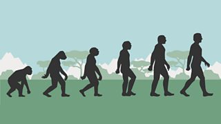 Life and death - Unit 1 - GCSE Religious Studies - BBC Bitesize