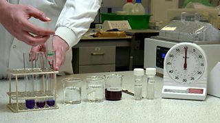 Human Cells - Higher Human Biology - BBC Bitesize