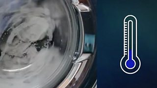 Revise: Enzymes - National 4 Biology - BBC Bitesize