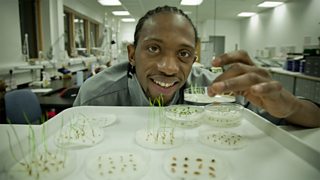 3rd level Science - BBC Bitesize