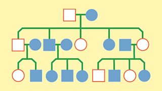Inheritance, variation and evolution - GCSE Combined Science - BBC Bitesize