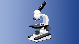 GCSE Combined Science - CCEA Single Award - BBC Bitesize