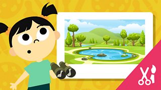 Environments - Early years Understanding the World - BBC Bitesize