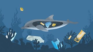 KS1 Geography: Oceans - The plastic problem - BBC Teach