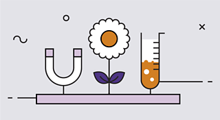 What is BBC Bitesize? - BBC Bitesize