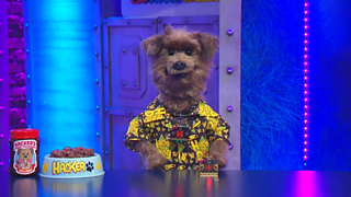 How to use and get started with the BBC micro:bit - the next gen - BBC ...