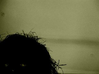 BBC Radio 4 - Uncanny - Is this a photo of a ghost?