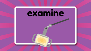 Tremendous teeth vocabulary – KS1 English curriculum - BBC Bitesize