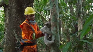 BBC One - Planet Earth III, Series 1, Human