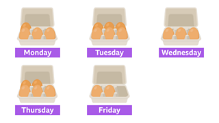 Nature’s most intriguing eggs - BBC Bitesize