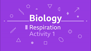 Bioenergetics - GCSE Combined Science - BBC Bitesize