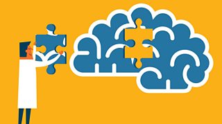 Can science explain déjà vu? - BBC Bitesize