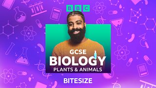 GCSE Science podcasts - Inheritance, variation and evolution - BBC Bitesize