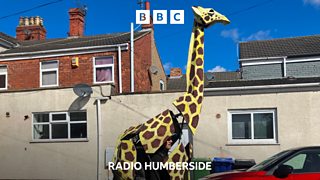Hull & East Yorkshire | Latest News & Updates | BBC News