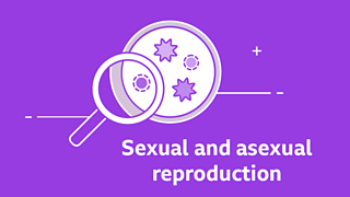 Inheritance, variation and evolution - GCSE Biology (Single Science ...