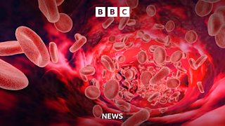 North Yorkshire | Latest News & Updates | BBC News