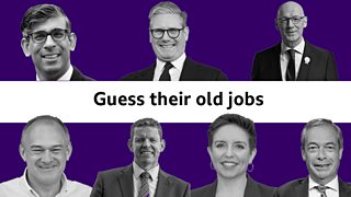 Careers in law, politics and government - Careers - BBC Bitesize