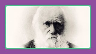 What is evolution? – KS2 Science curriculum - BBC Bitesize