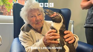 Lincolnshire | Latest News & Updates | BBC News