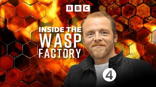 BBC Radio 4 - Inside The Wasp Factory - "Bizarre, dark and grotesque ...
