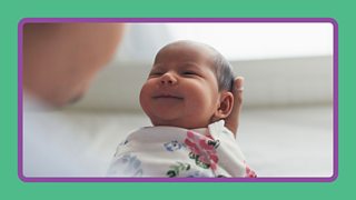 How do animals grow? - KS1 Science curriculum - BBC Bitesize