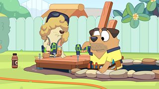Bluey - CBeebies - BBC