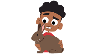 What are mammals? KS1 Science curriculum - BBC Bitesize