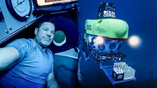 All-things Animals on iPlayer - CBBC - BBC