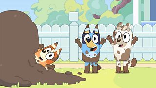 Bluey - CBeebies - BBC
