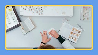 What is science? – KS1 Science curriculum - BBC Bitesize