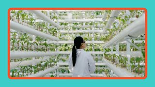 What is science? – KS1 Science curriculum - BBC Bitesize